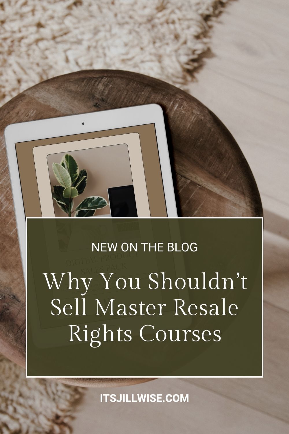 Master Resale Rights Digital Products: Do They Work?