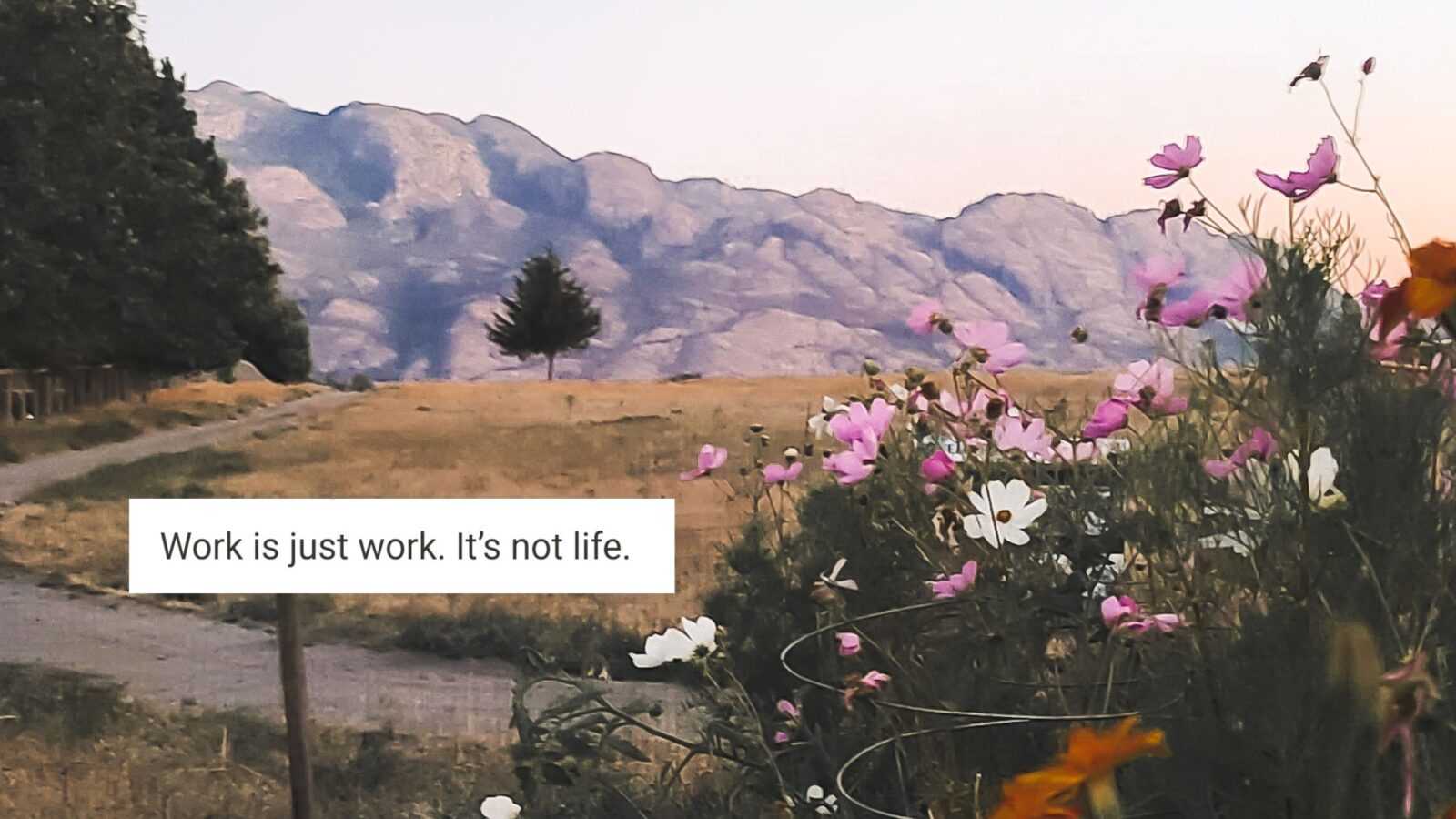 Overwhelmed in Work? Try These Grounding Rituals